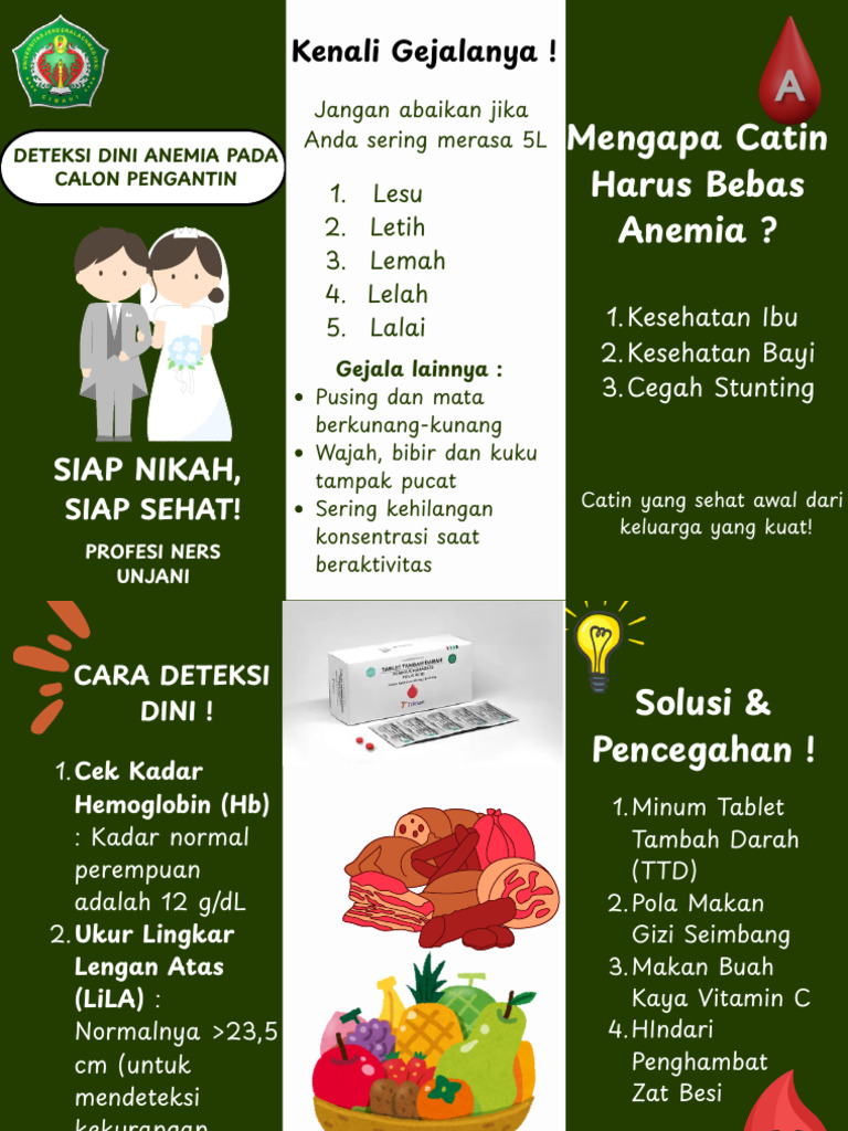Edukasi Tablet Fe Pada Calon Pengantin | PDF