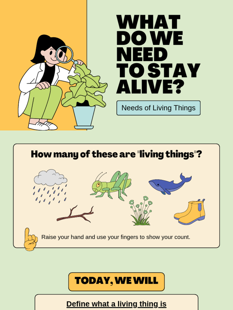 Needs of Living Things Education Presentation in Green Yellow Simple ...