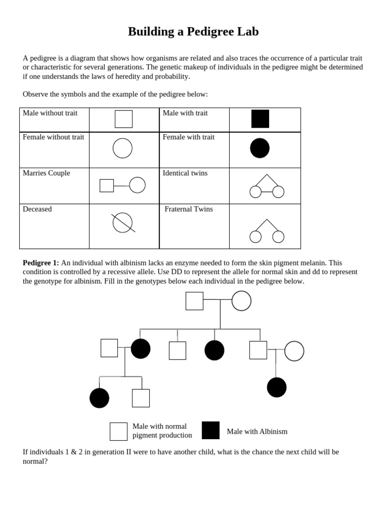 Build a Pedigree Activity Practice | PDF | Genotype | Dominance (Genetics)