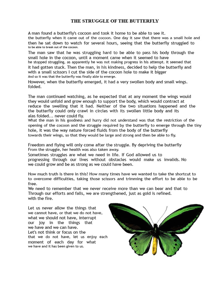 reflection - the struggle of the butterfly | PDF | Butterfly