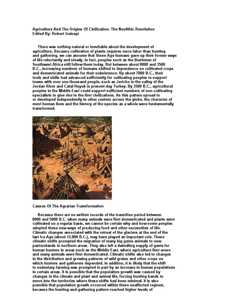 Agriculture's Role in Civilization's Rise | PDF | Neolithic | Agriculture