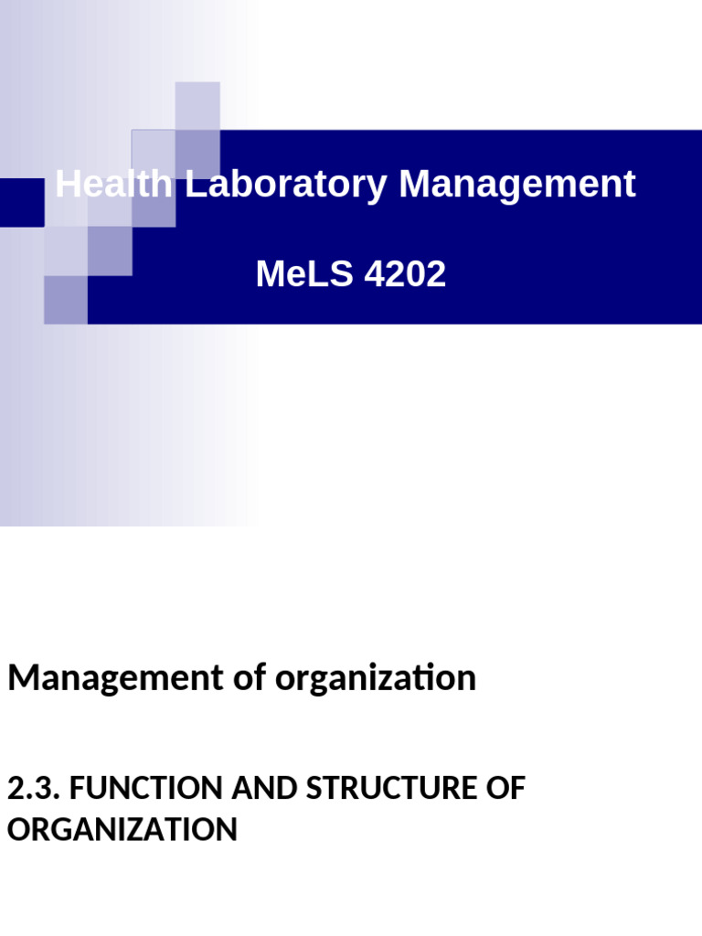 Organizational Structure and Management Functions | PDF | Leadership ...