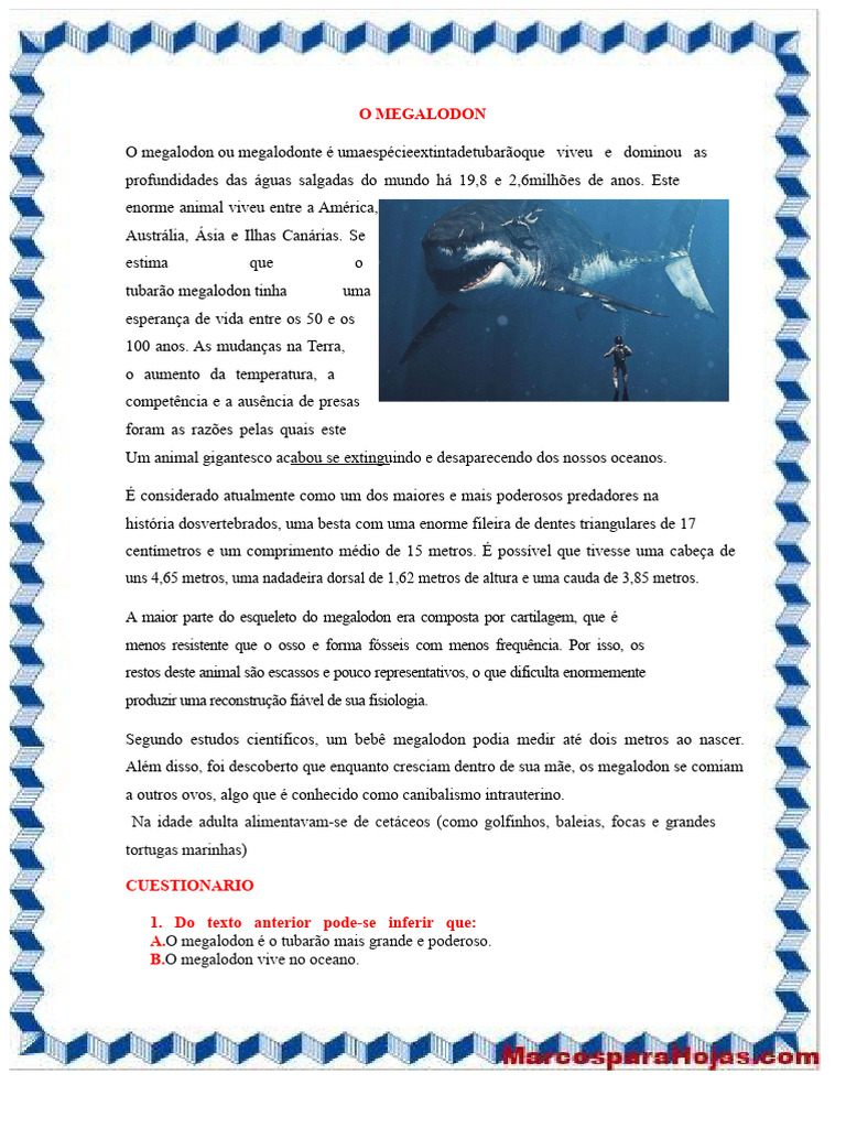 O Megalodon (Compreensão) | PDF