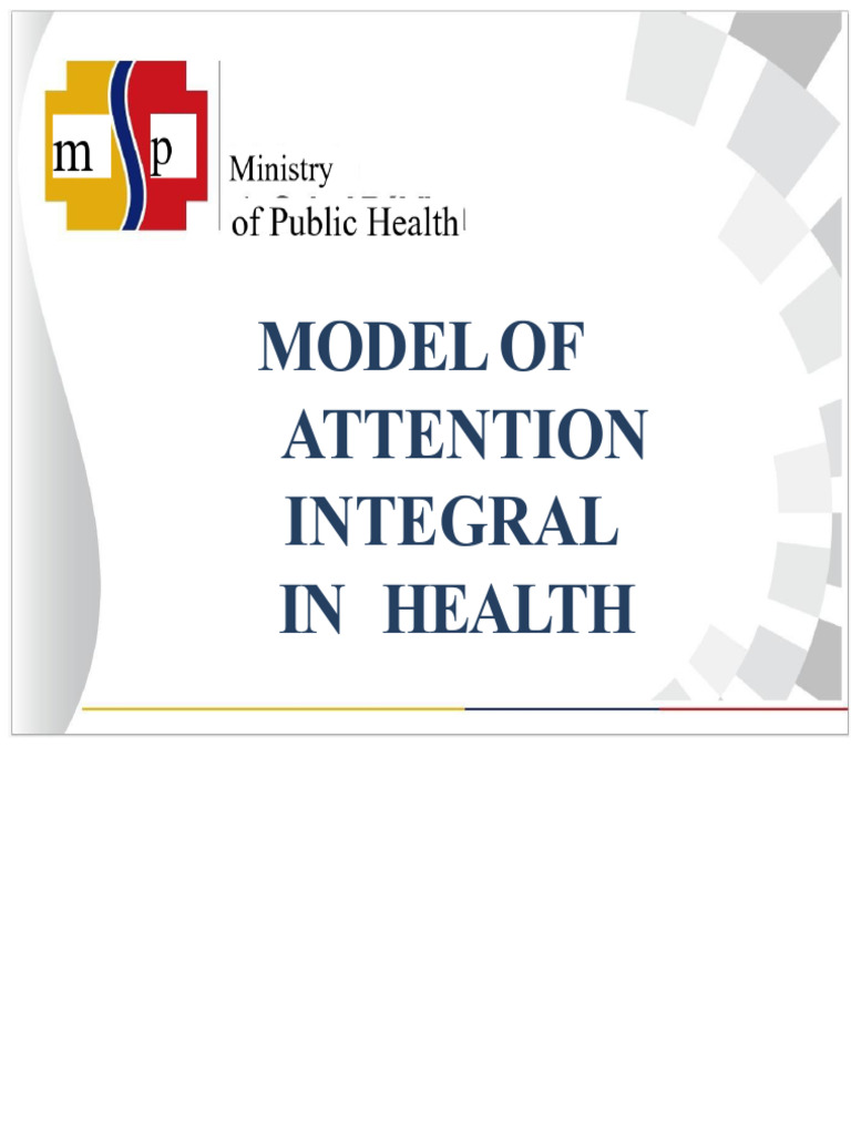 Comprehensive Health Care Model | PDF | Health Promotion