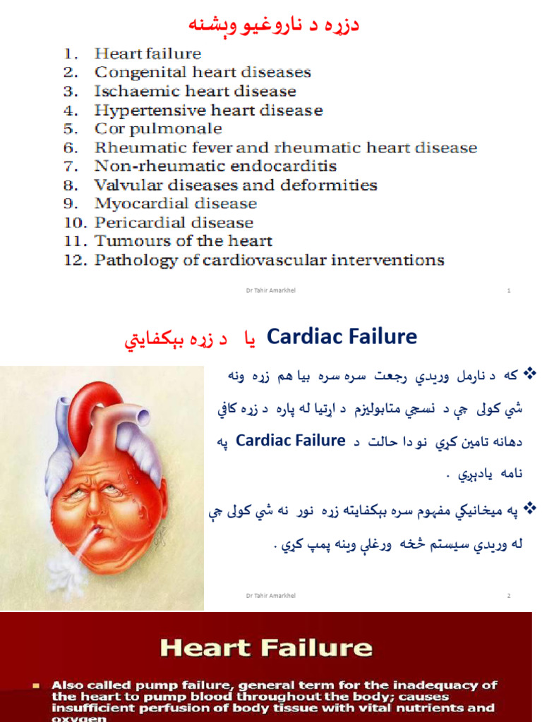1 Heart Disease | PDF