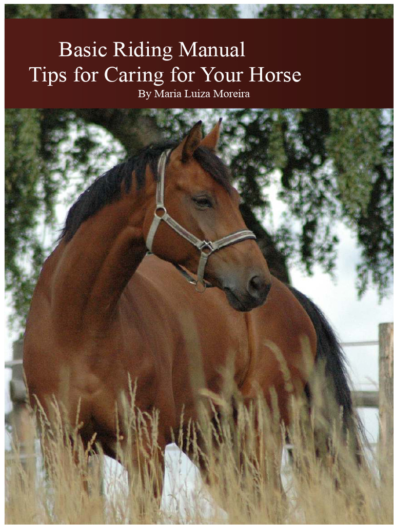 Basic Riding Manual and Tips For Caring For Your Horse | PDF | Horses ...