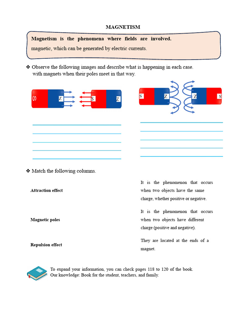 MAGNETISM (5) | PDF | Electric Charge | Magnetic Field