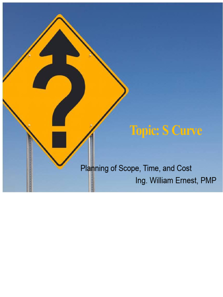 Curve - S Project PDF | PDF