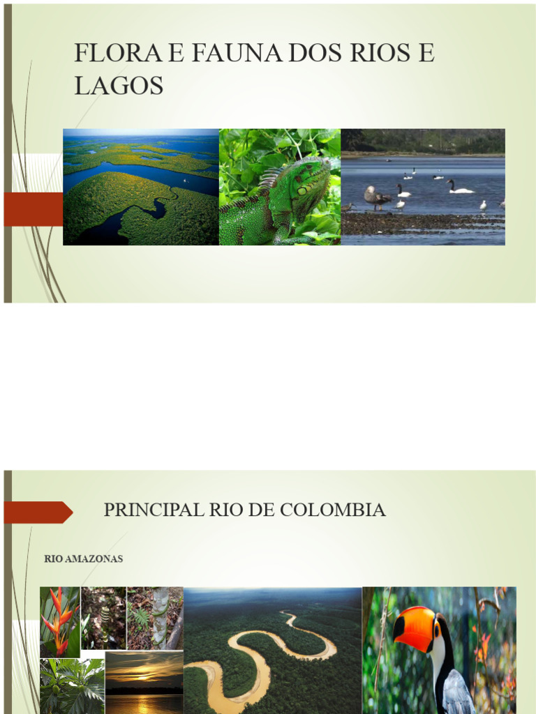 Fauna e Flora dos Rios da Colômbia | PDF