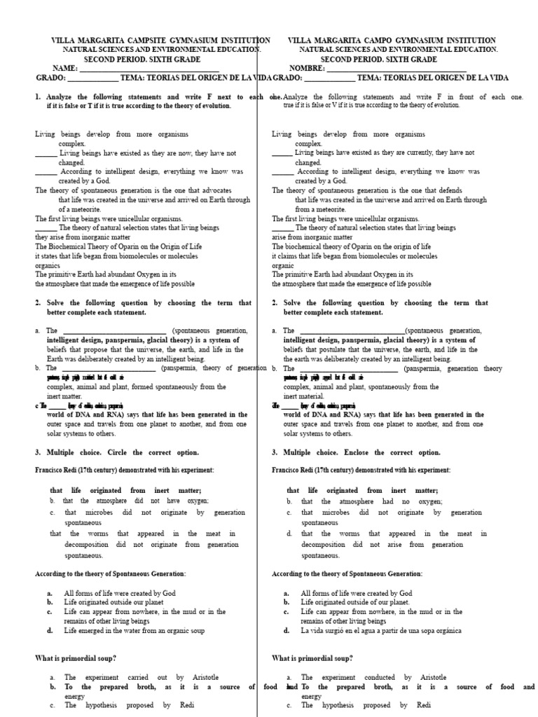 Sixth Grade Evolution Theories Worksheet | PDF | Abiogenesis | Science