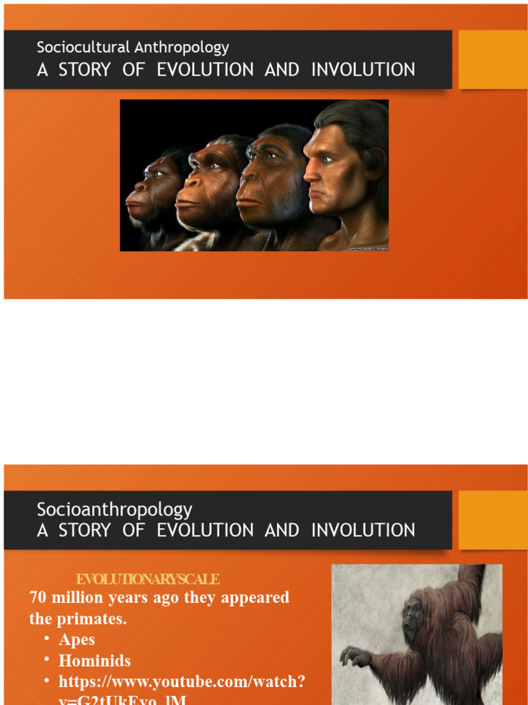 #2 Socioanthropology "A History of Evolution and Involution" | PDF ...