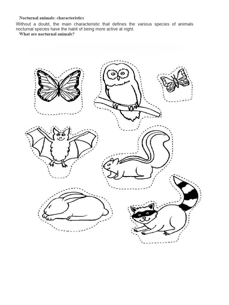 Nocturnal vs. Diurnal Animals Explained | PDF