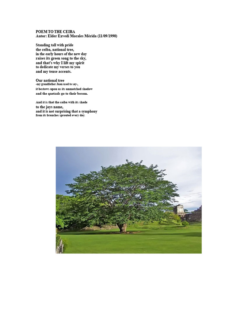 POEM to the Patriotic Symbols | PDF