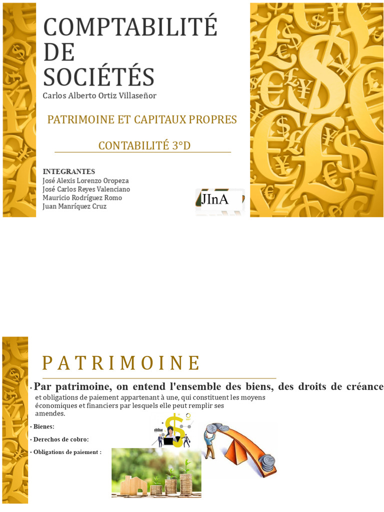Comprendre le patrimoine et le capital comptable | PDF | Action ...
