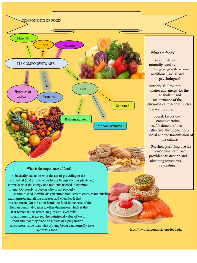 infographic, components of foods | PDF | Nutrition | Diet & Nutrition
