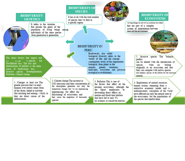 concept map | PDF | Biodiversity | Ecosystem