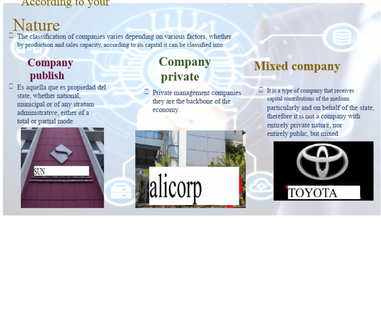 Classification of Companies | PDF