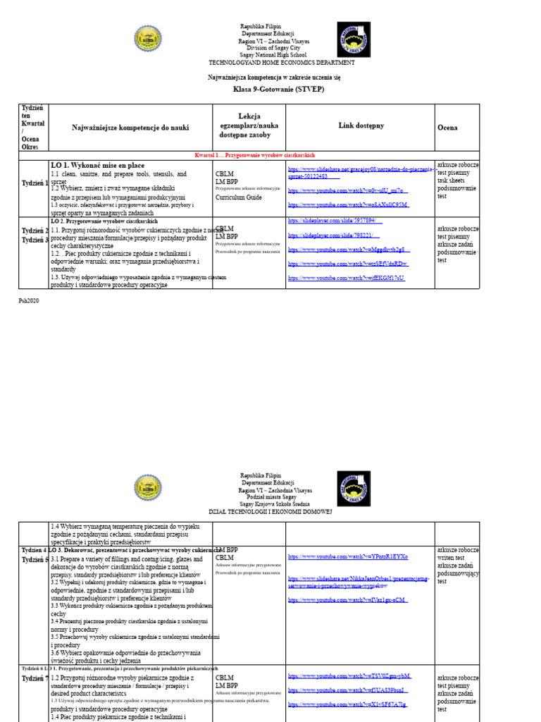 MLEC 9 STVEP.docx | PDF