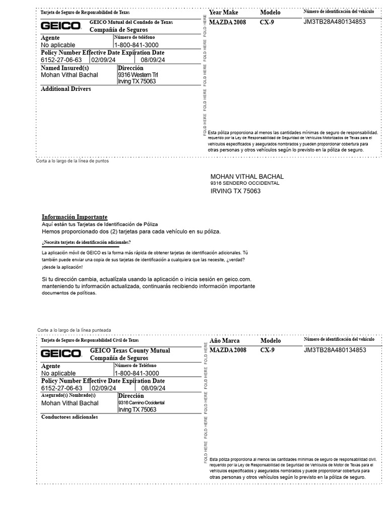 Bachal_SEGURO_DE_AUTOMÓVIL | PDF | Seguro | Licencia de conducir