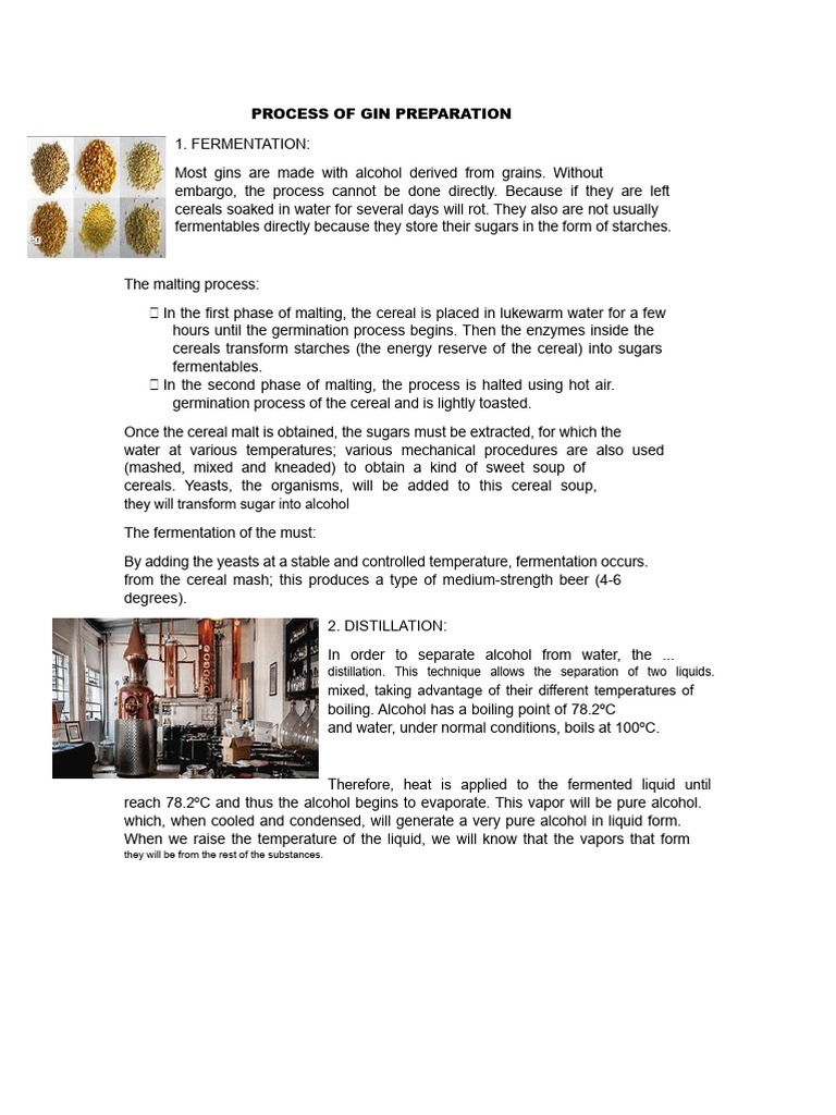 Gin Production Process | PDF | Malt | Brewing
