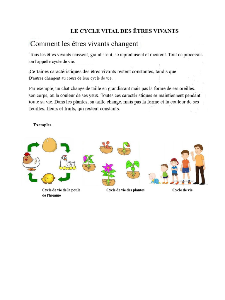 Cycle de vie des êtres vivants | PDF
