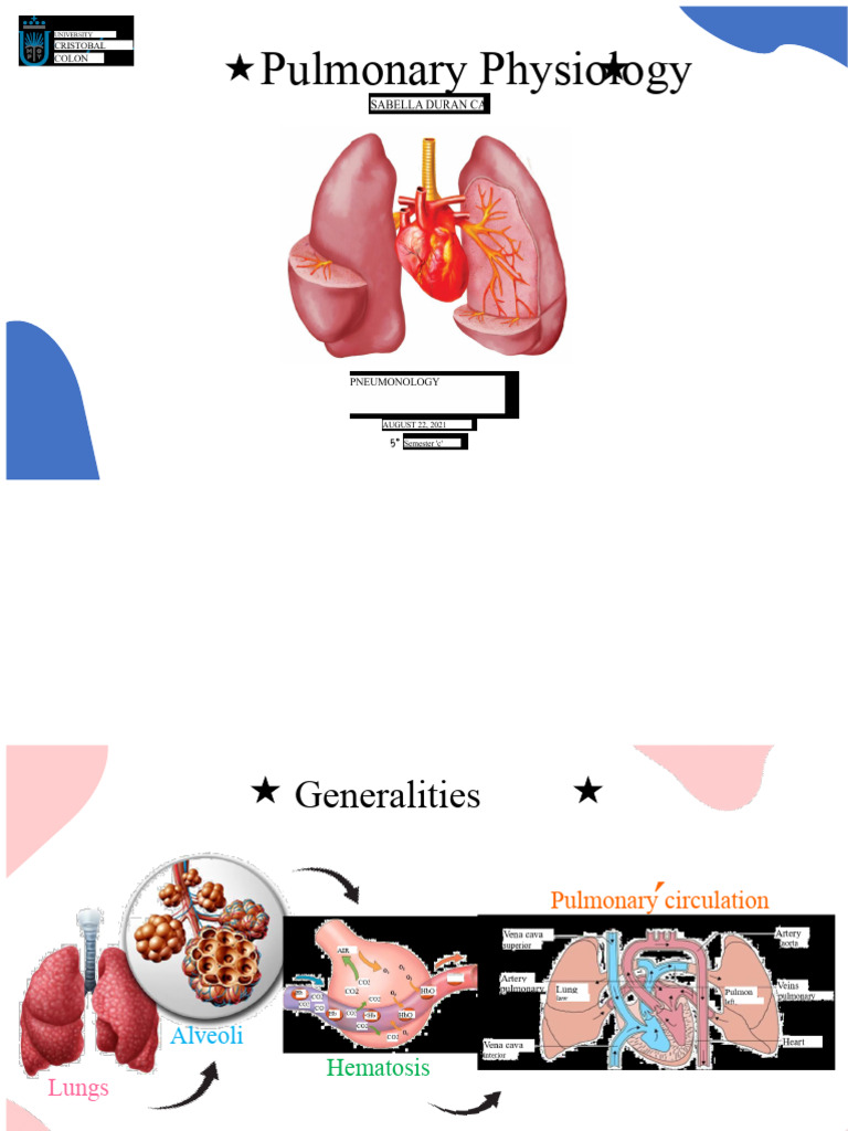 Pulmonary physiology 1 | PDF | Exhalation | Lung