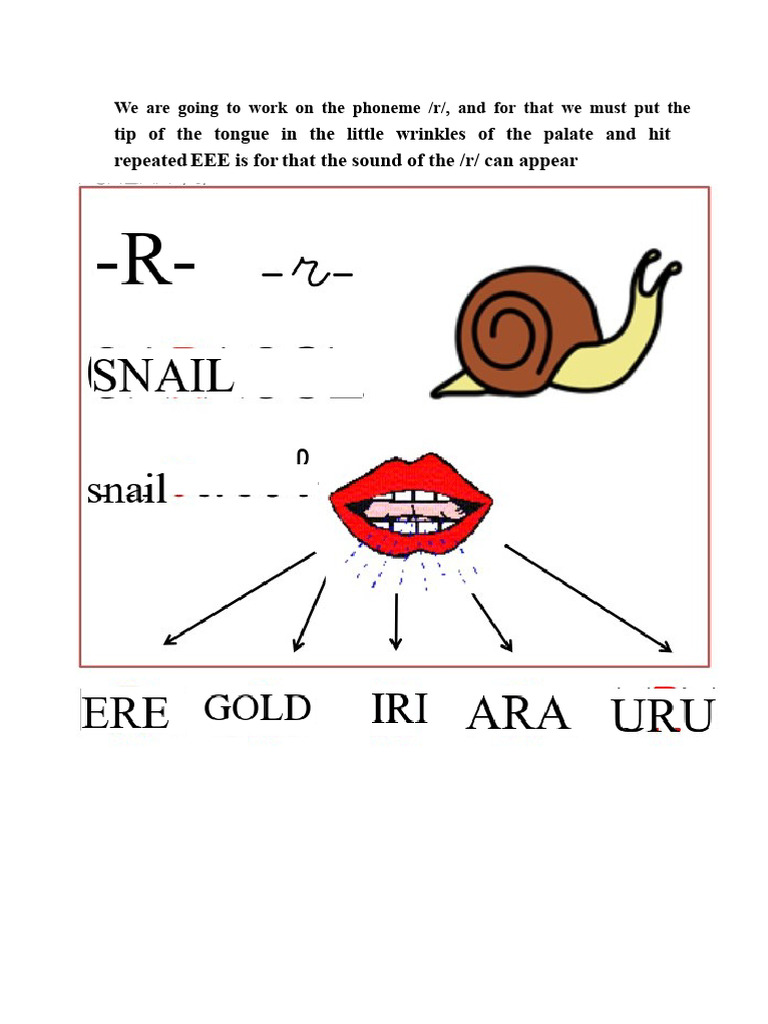 phoneme r | PDF | Tongue | Phonetics