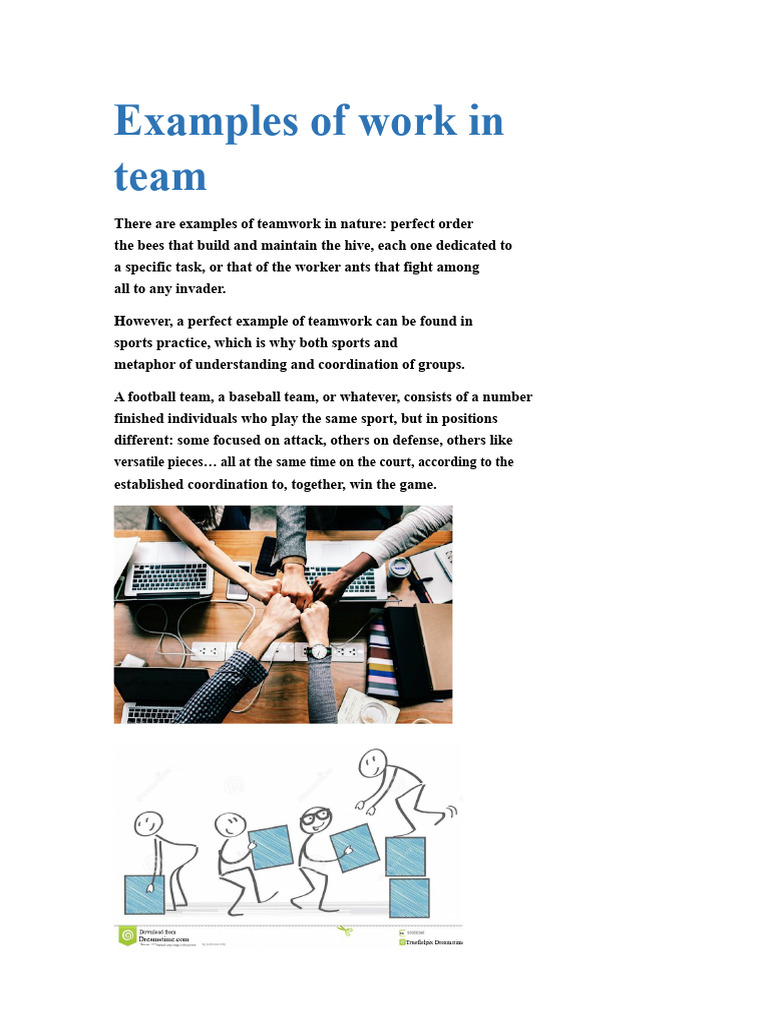 Teamwork Examples in Nature and Sports | PDF