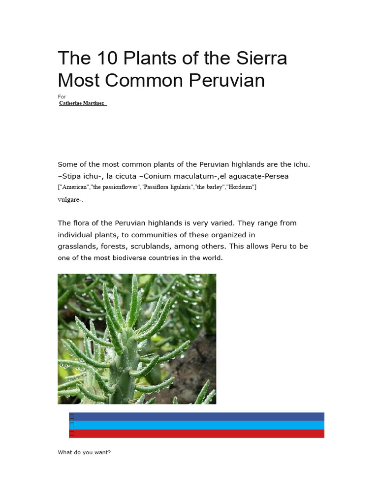 The 10 Most Common Plants of the Peruvian Sierra | PDF | Plants | Botany