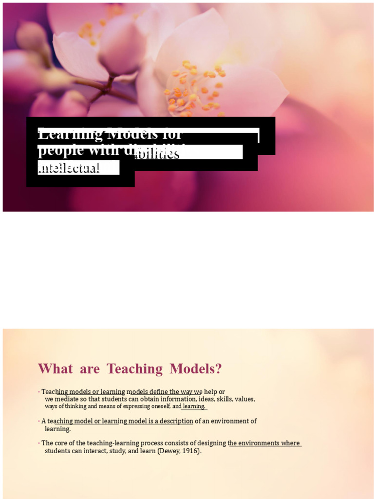 Learning Models for People with Intellectual Disabilities | PDF ...