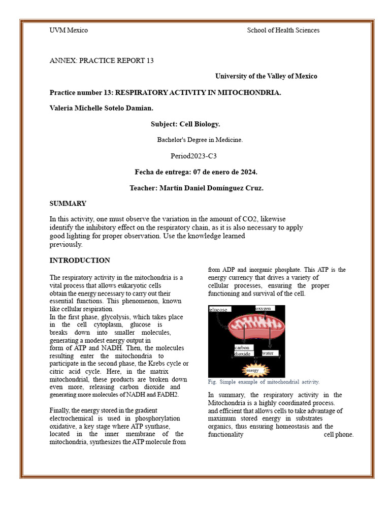 Mitochondrial Respiration Practice Report | PDF | Cellular Respiration ...