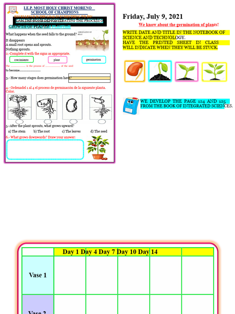 The Germination of Plants | PDF