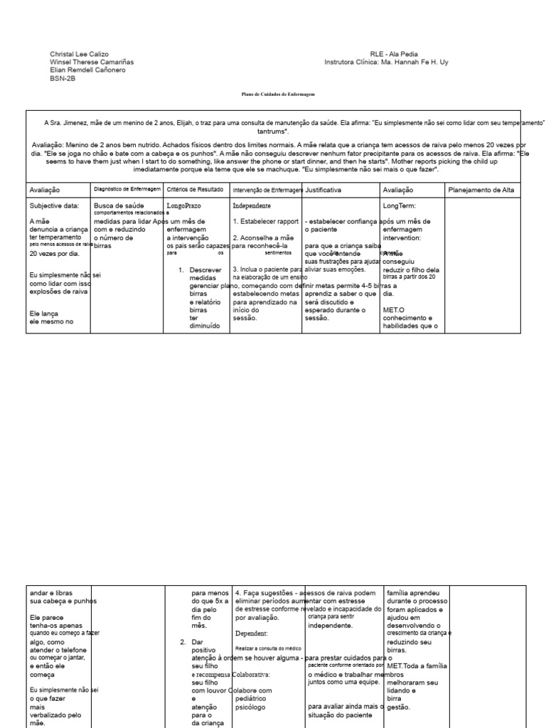 Pedia - NCP Birras | PDF | Enfermagem | Psicologia