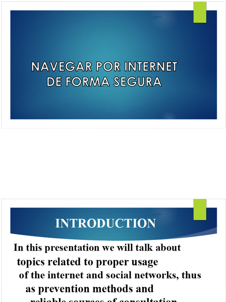 Internet Safety and Digital Privacy Guide | PDF