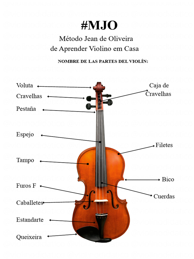 Partes Del Violín - Contenido Extra Semana Violín en Casa | PDF