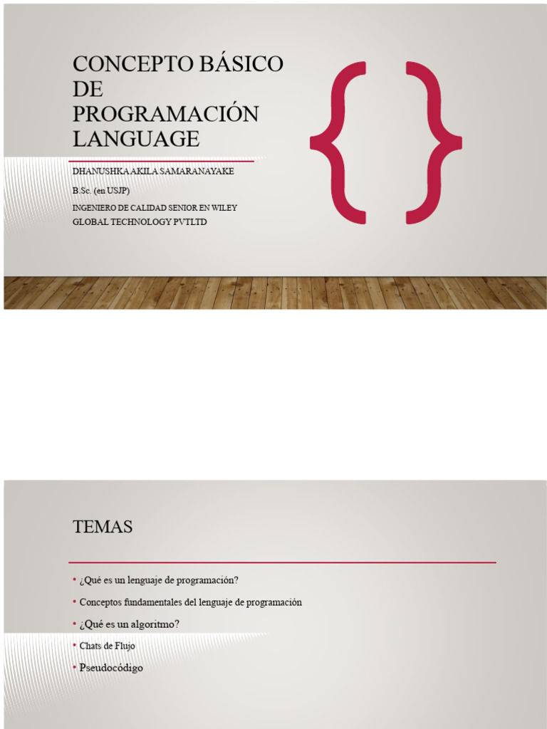 Concepto Básico de Lenguaje de Programación PDF | PDF | Lenguaje de ...