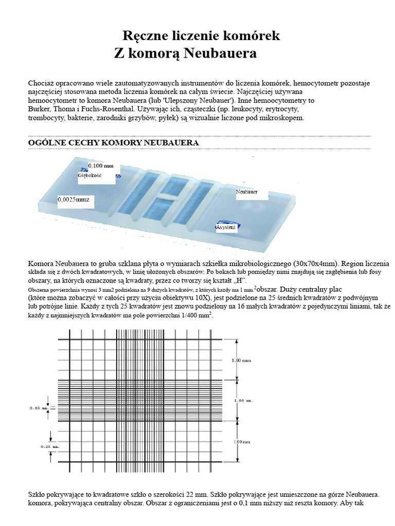 Kamerka Do Liczenia Improved Neubauer | PDF