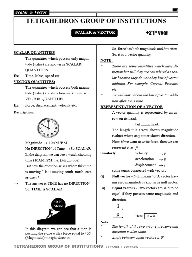 Scalar & Vector | PDF | Euclidean Vector | Force