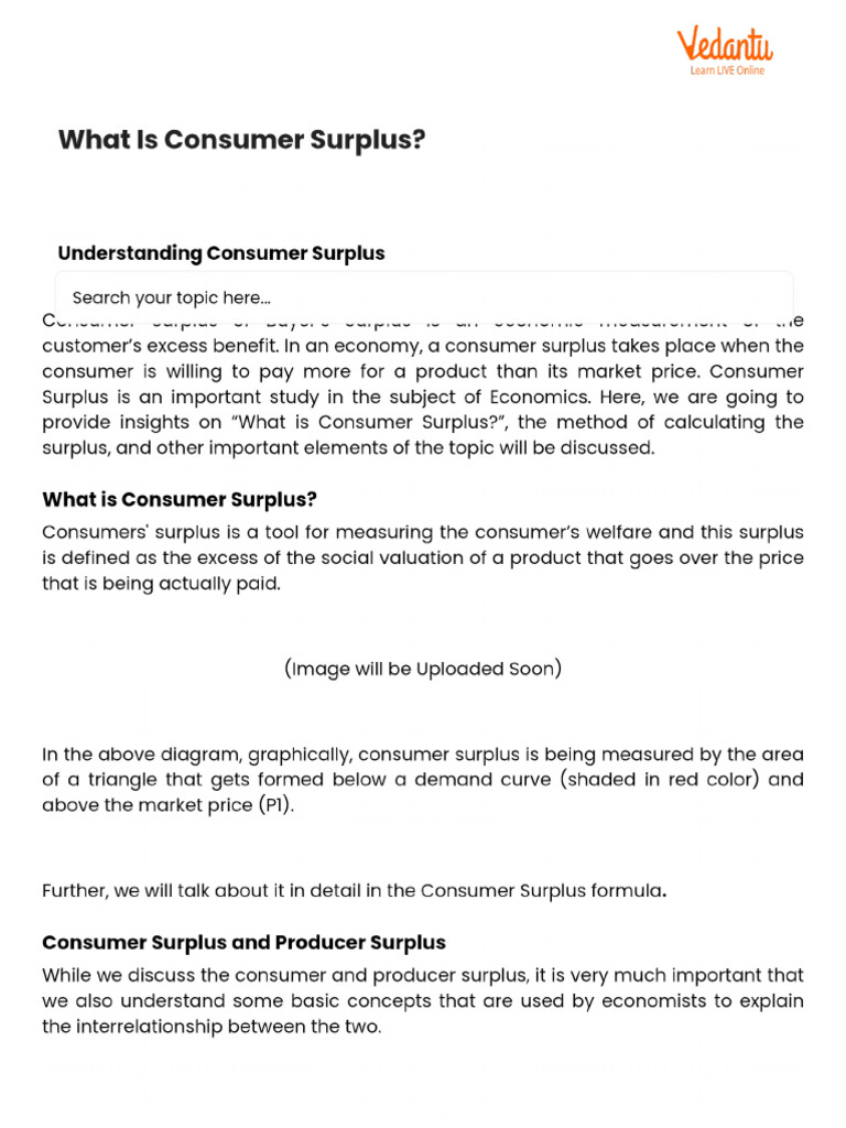 What Is Consumer Surplus | PDF