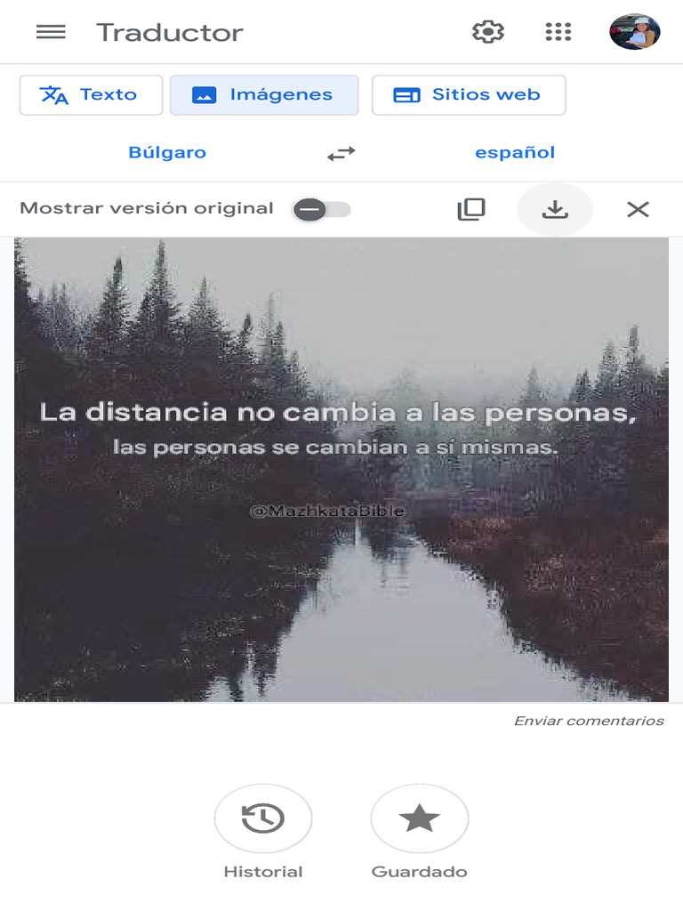 Traductor de Google | PDF