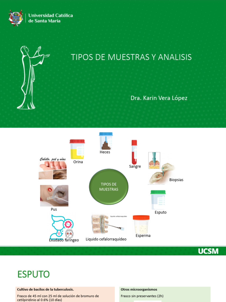 Tipos de Muestras y Análisis Clínicos | PDF | Sangre | Medicina CLINICA