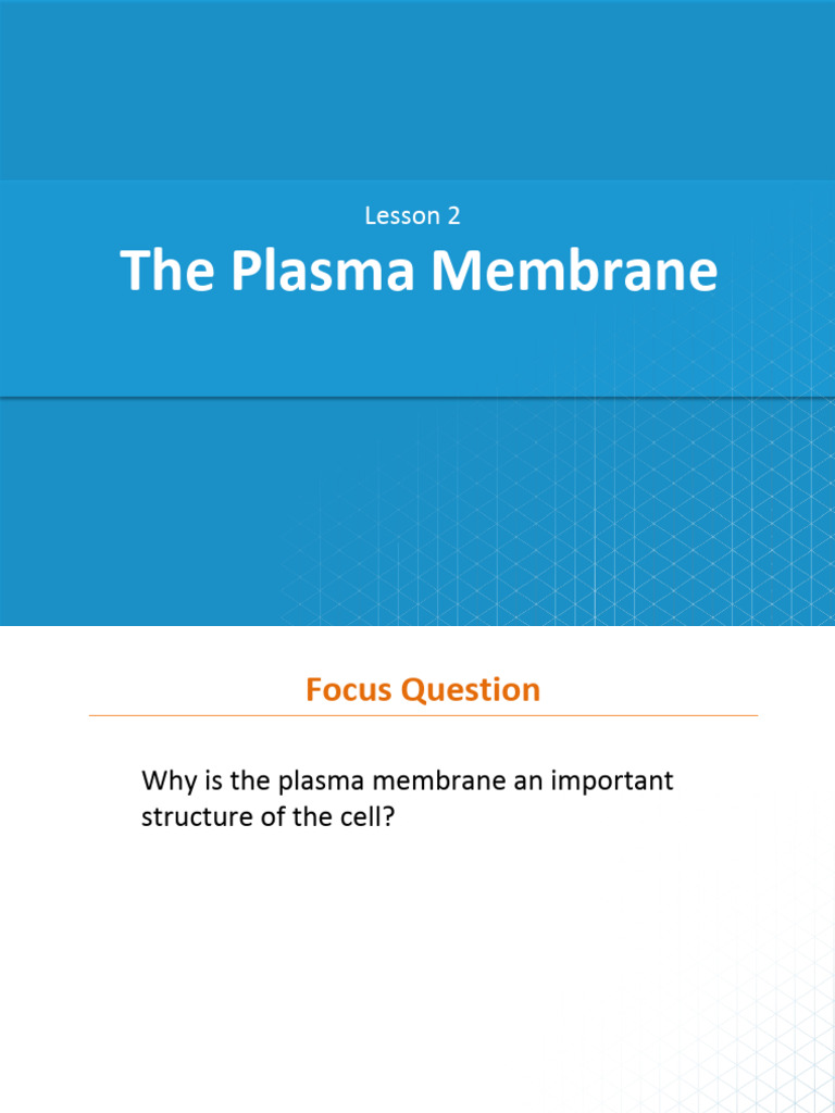 Lesson 2 the Plasma Membrane (2) | PDF | Cell Membrane | Lipid Bilayer