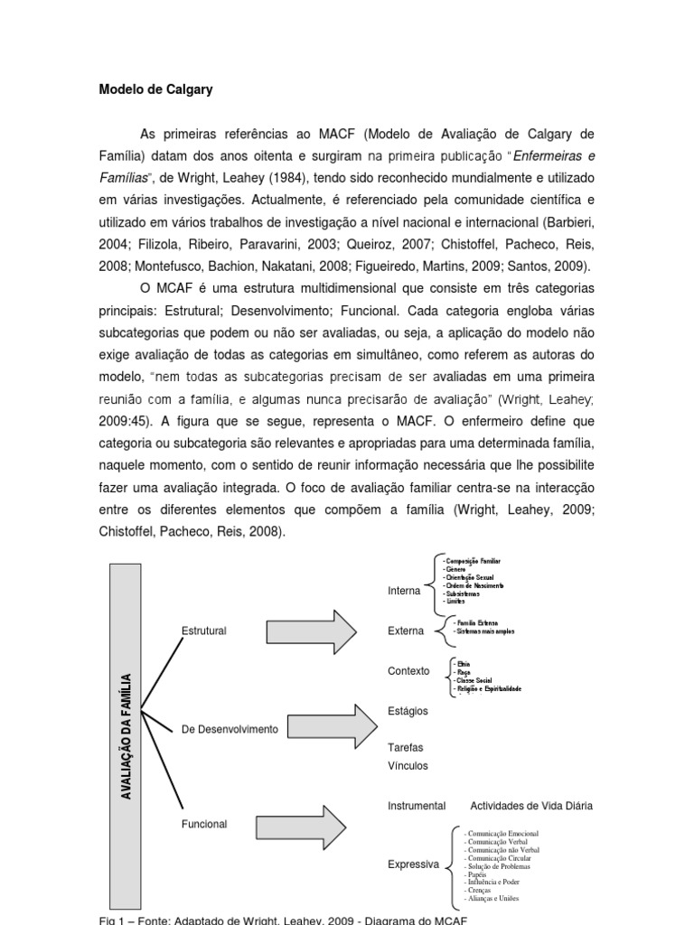Modelo de Calgary - Apoio | Grupos Étnicos | Família