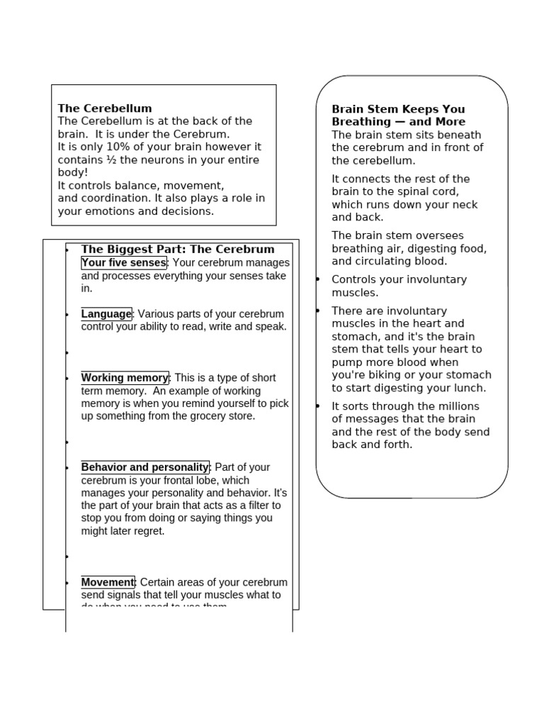 Parts of the Brain Descriptions | PDF | Brain | Cerebrum