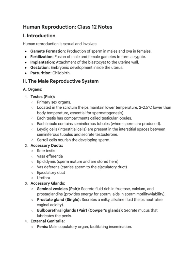 Human Reproduction Class 12 Overview | PDF | Menstrual Cycle | Anatomy