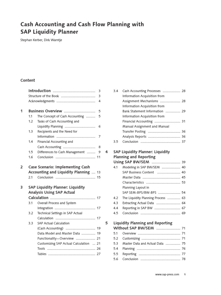 Cash Accounting and Cash Flow Planning With SAP Liquidity Planner | PDF ...
