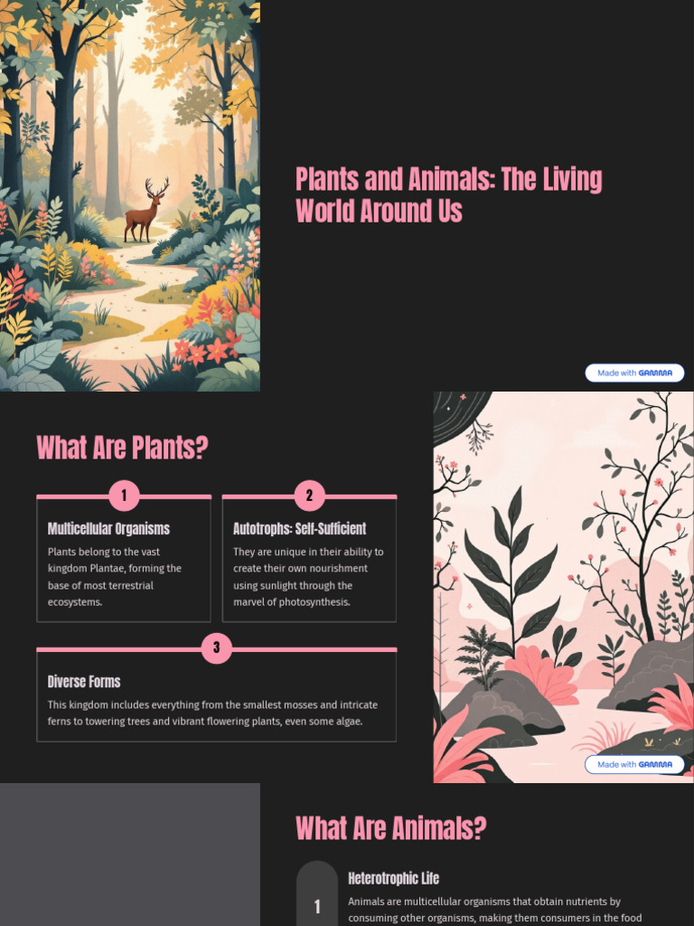 Plants and Animals: Ecosystem Interactions | PDF