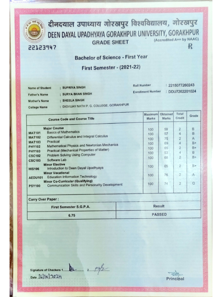 BSC First Semester | PDF