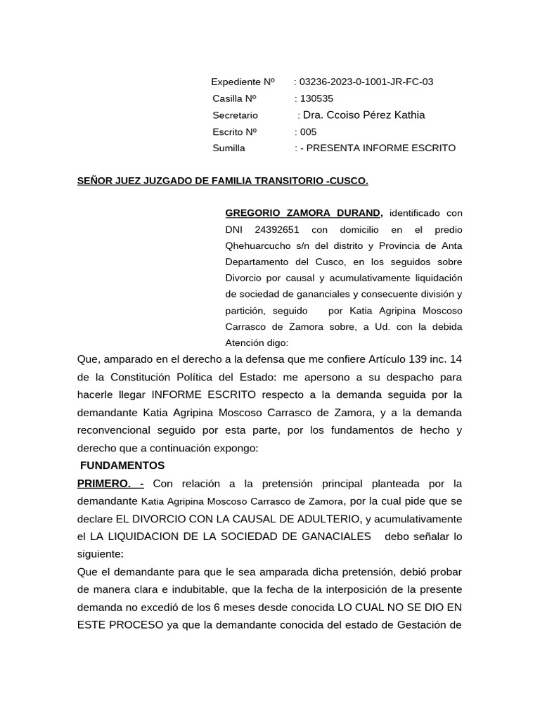 Informe sobre Divorcio y Liquidación de Bienes | PDF | Divorcio ...