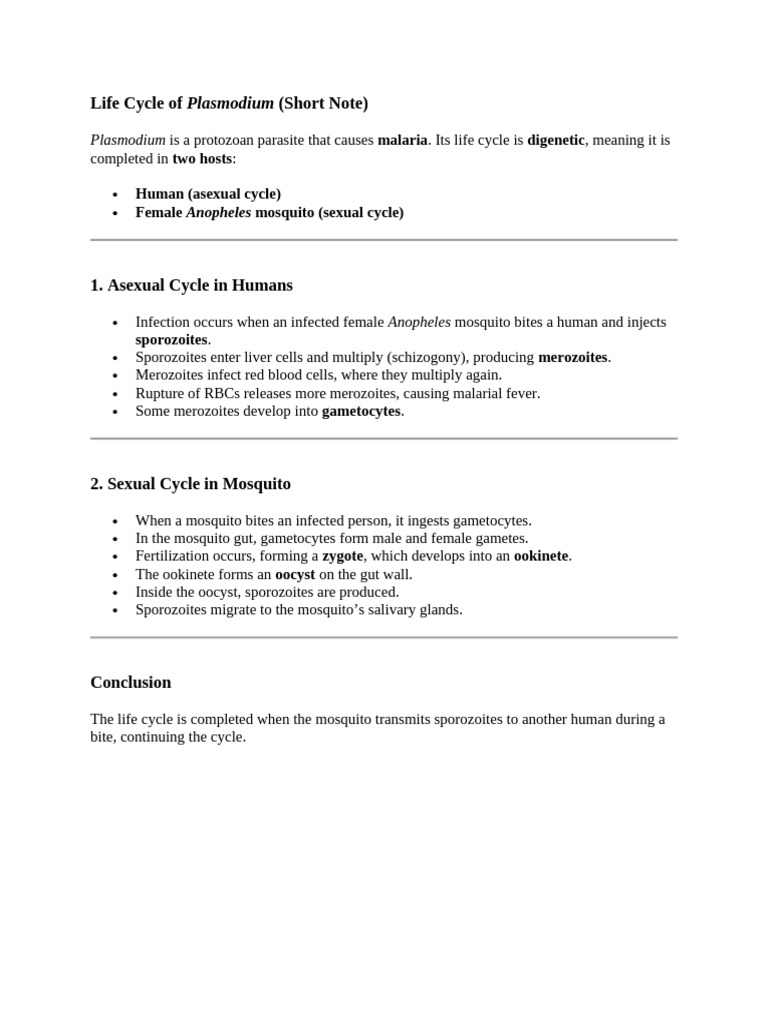 Plasmodium Life Cycle Explained | PDF